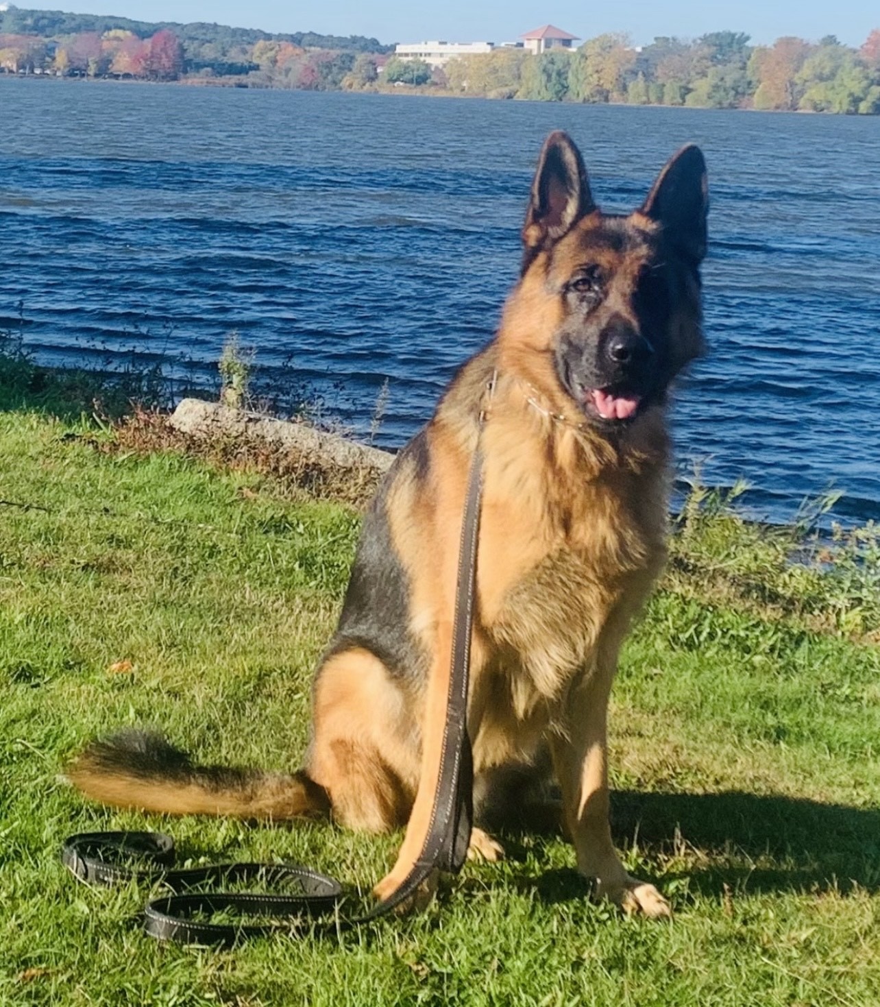 Semra & Kaiser - Atlantic K9
