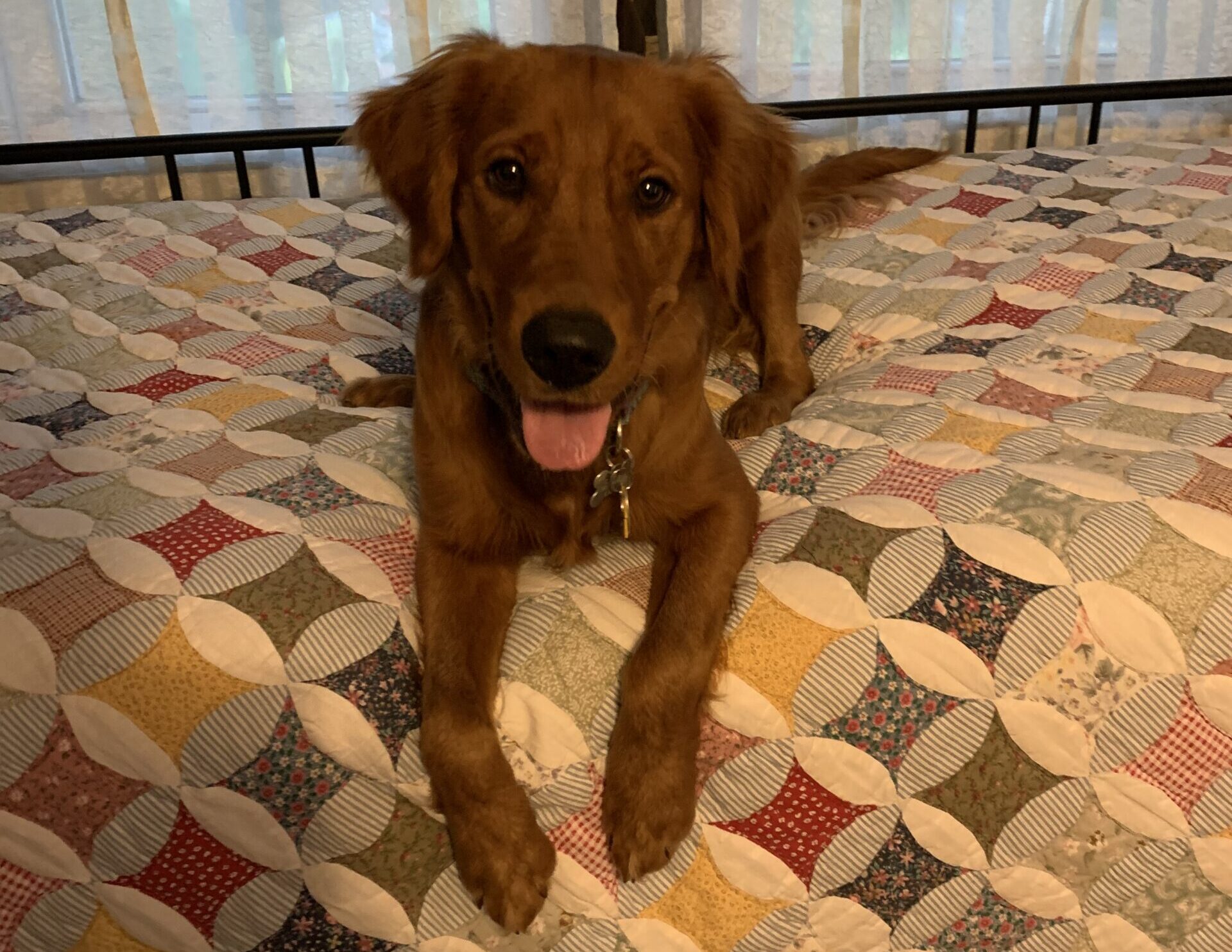 Connie & Chezney - Atlantic K9