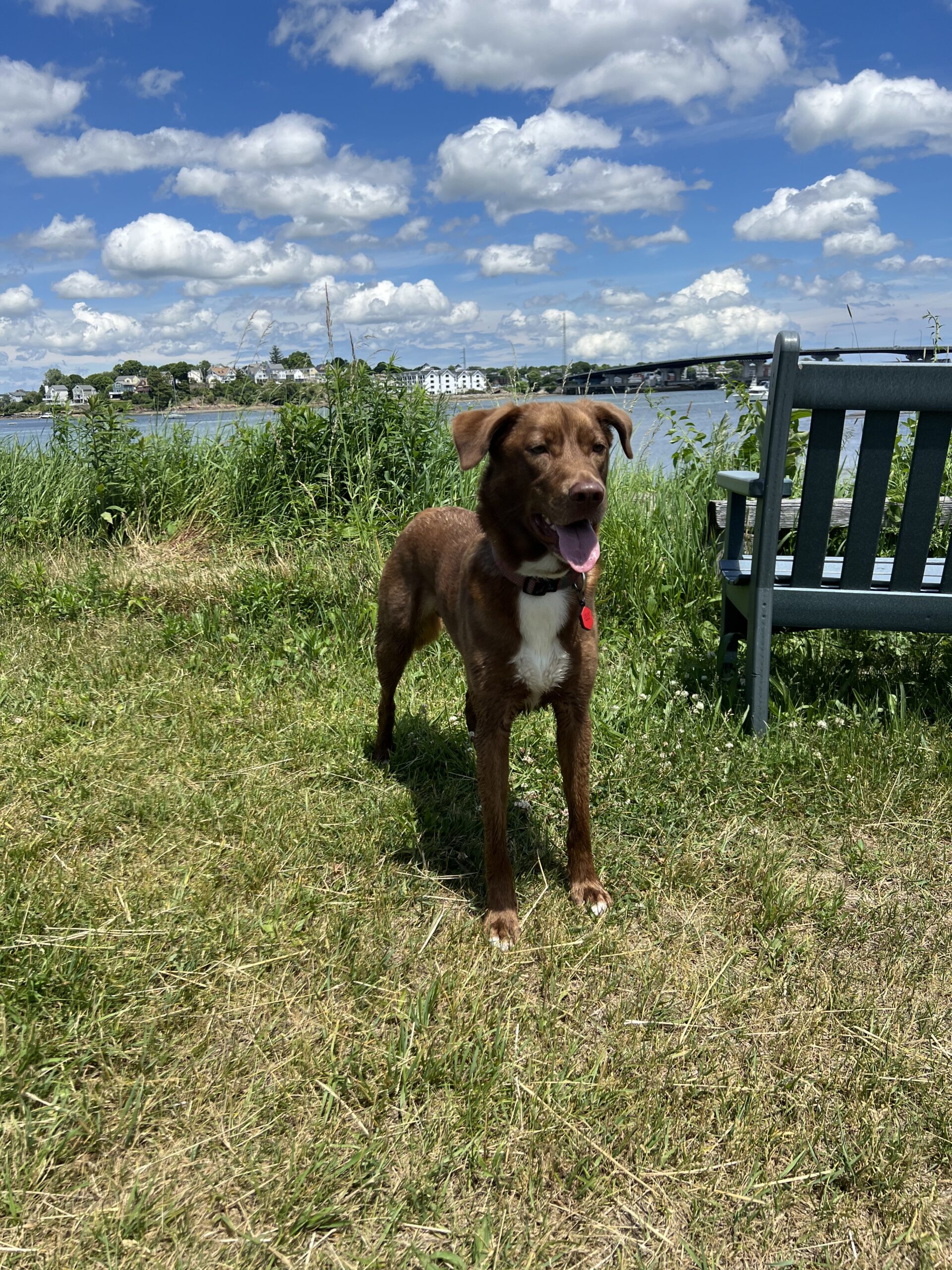 Riley & Moseley - Atlantic K9