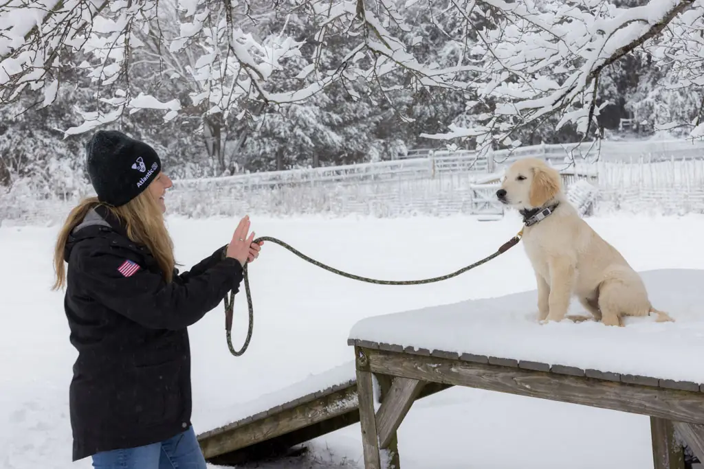 Boot Camp Programs - Atlantic K9